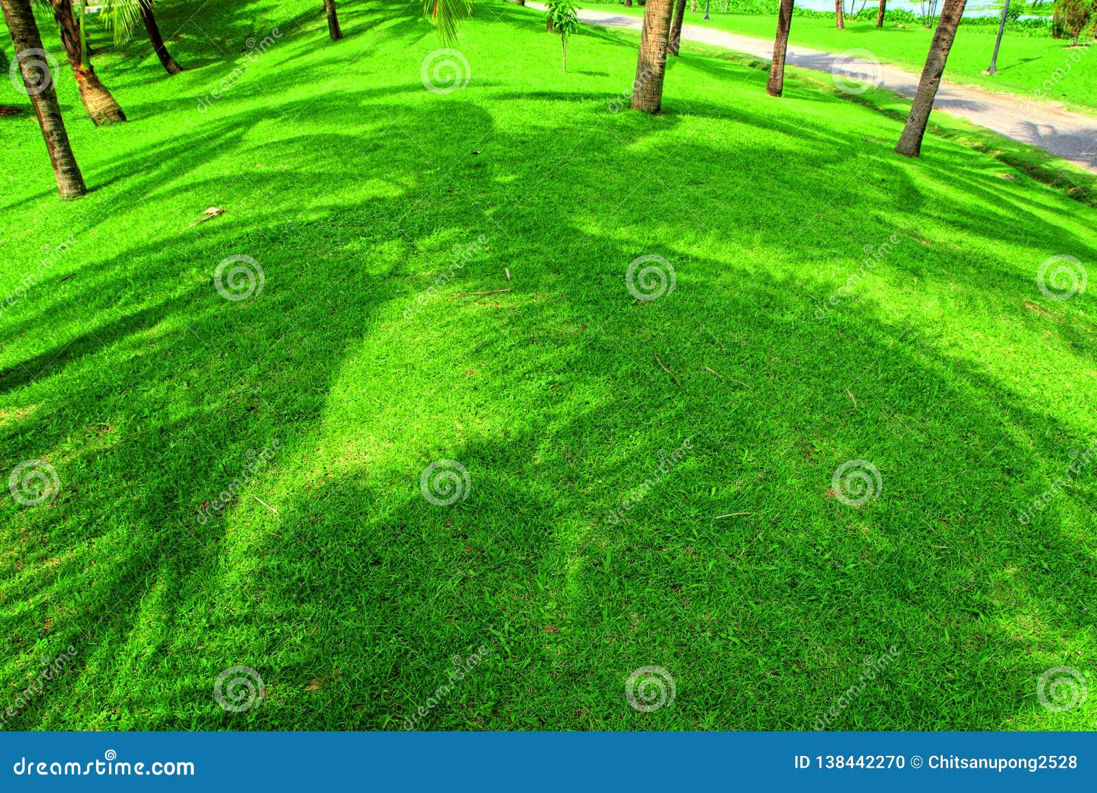 Field Grass Green, Natural Backdrop Stock Photo - Image of fresh, lush ...