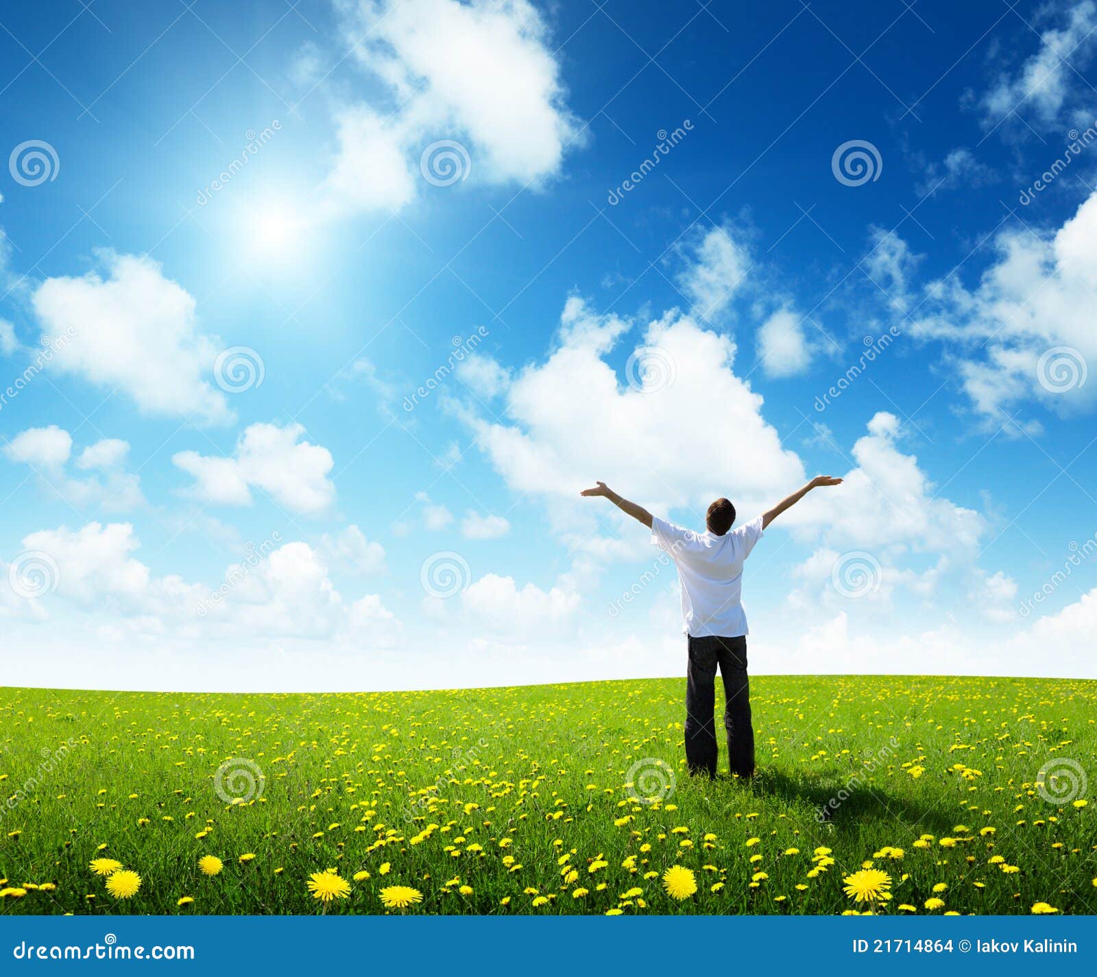 Field of Grass and Happy Man Stock Photo - Image of leisure, green ...