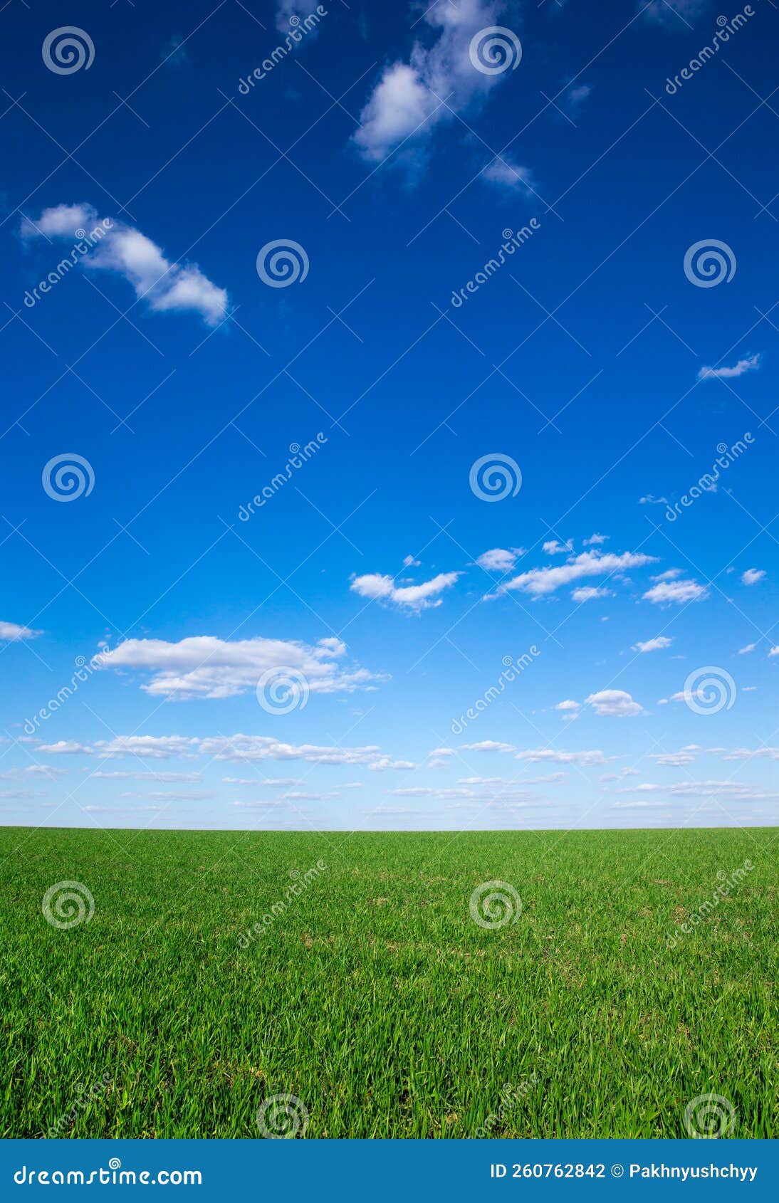 Field of grass and sky stock photo. Image of lawn, weather - 260762842