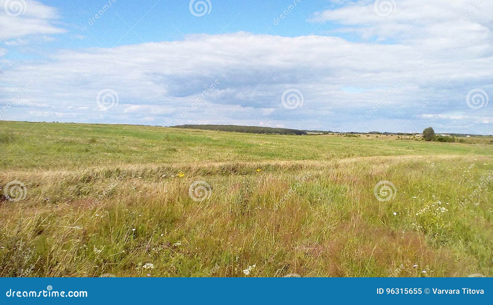 Field grassy road stock image. Image of grassy, clouds - 96315655