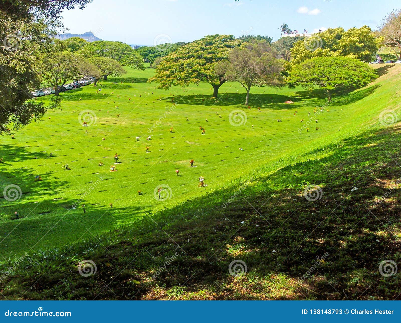 Field of graves stock image. Image of military, grass - 138148793