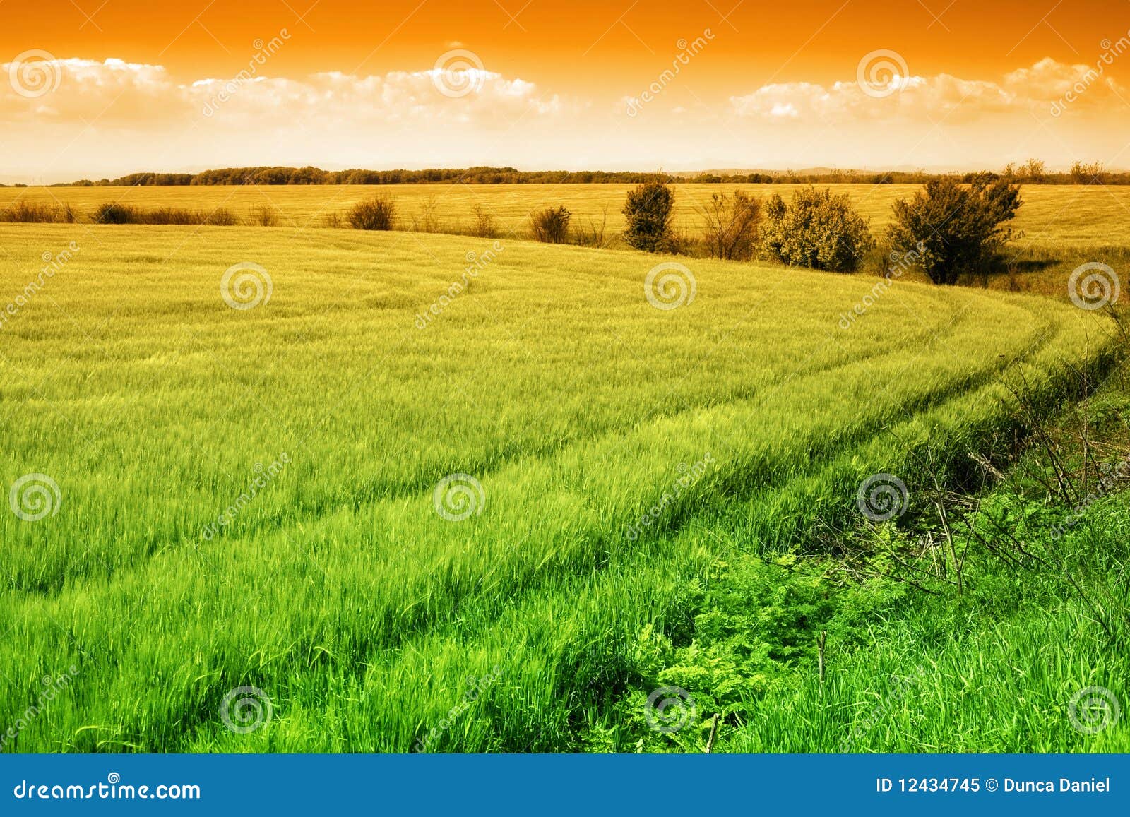 Field of Green Fresh Grass and Colorful Sky Stock Image - Image of farm ...