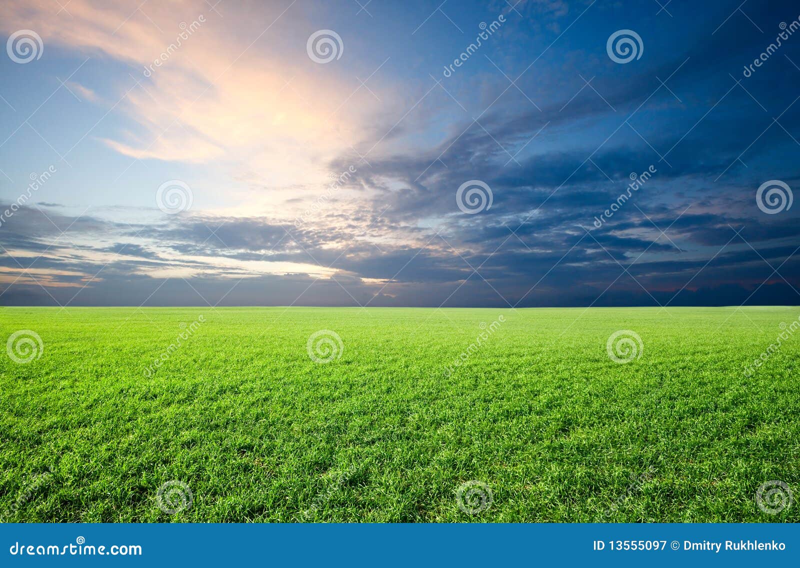Field of Green Fresh Grass on Sunset Stock Image - Image of meadow ...