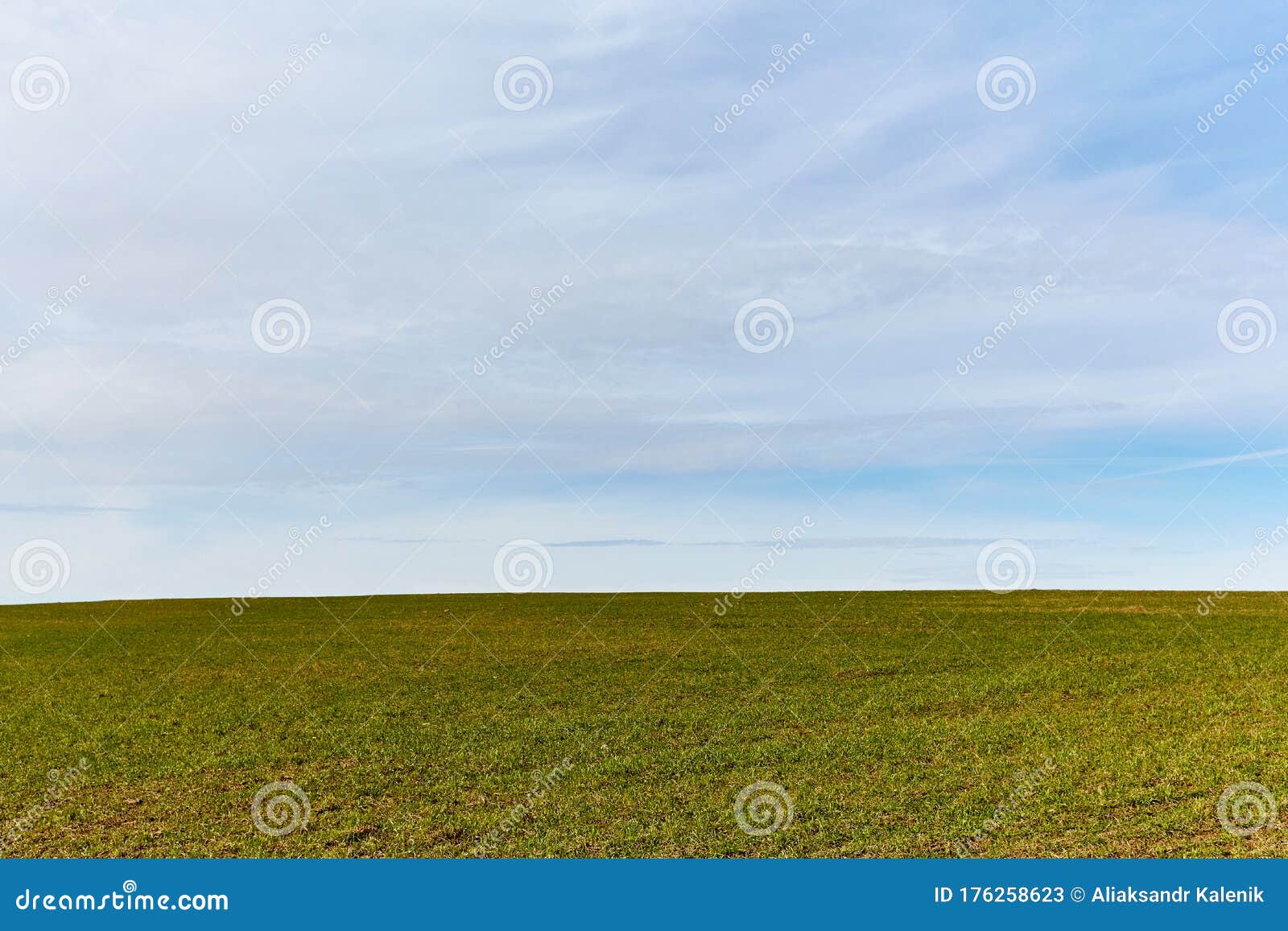 Field with Green Grass Horizon Blue Sky Stock Image - Image of horizon ...
