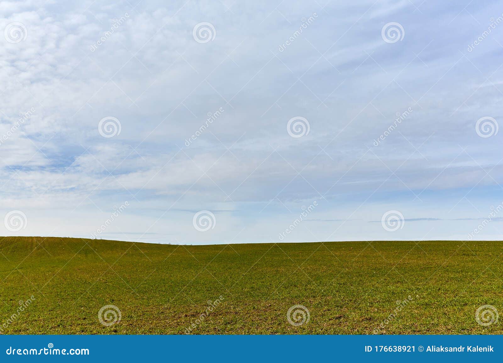 Field with Green Grass Horizon Blue Sky Stock Image - Image of horizon ...