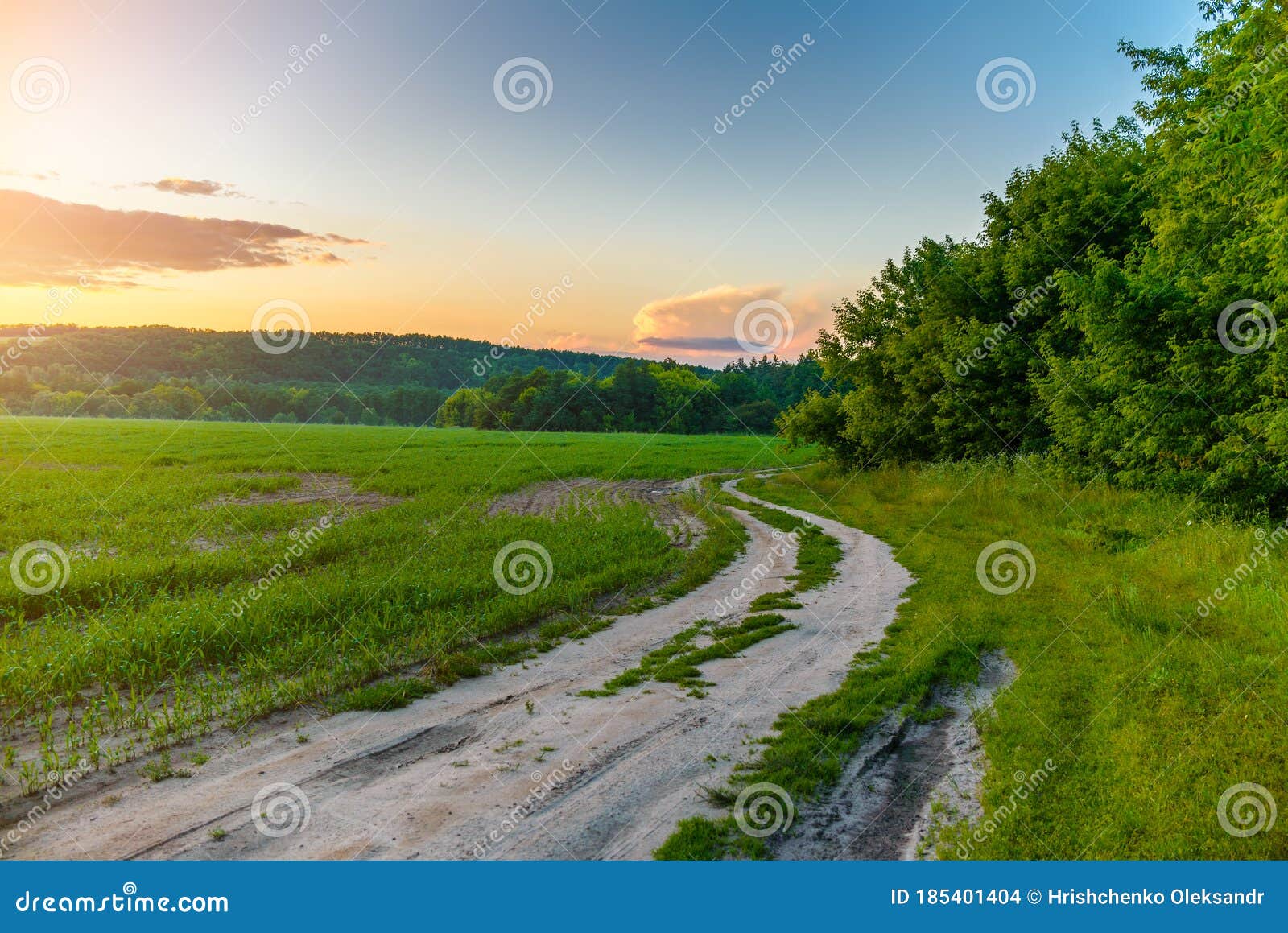Field of Green Grass with Road Stock Photo - Image of landscaped, field ...