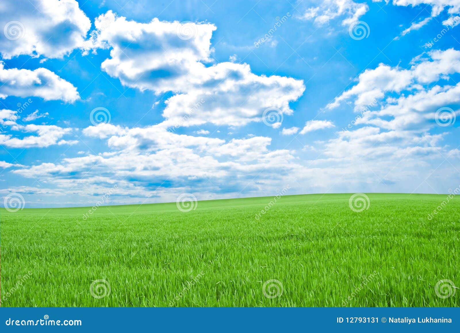 Field of a Green Grass, Sky with Clouds Stock Image - Image of beauty ...