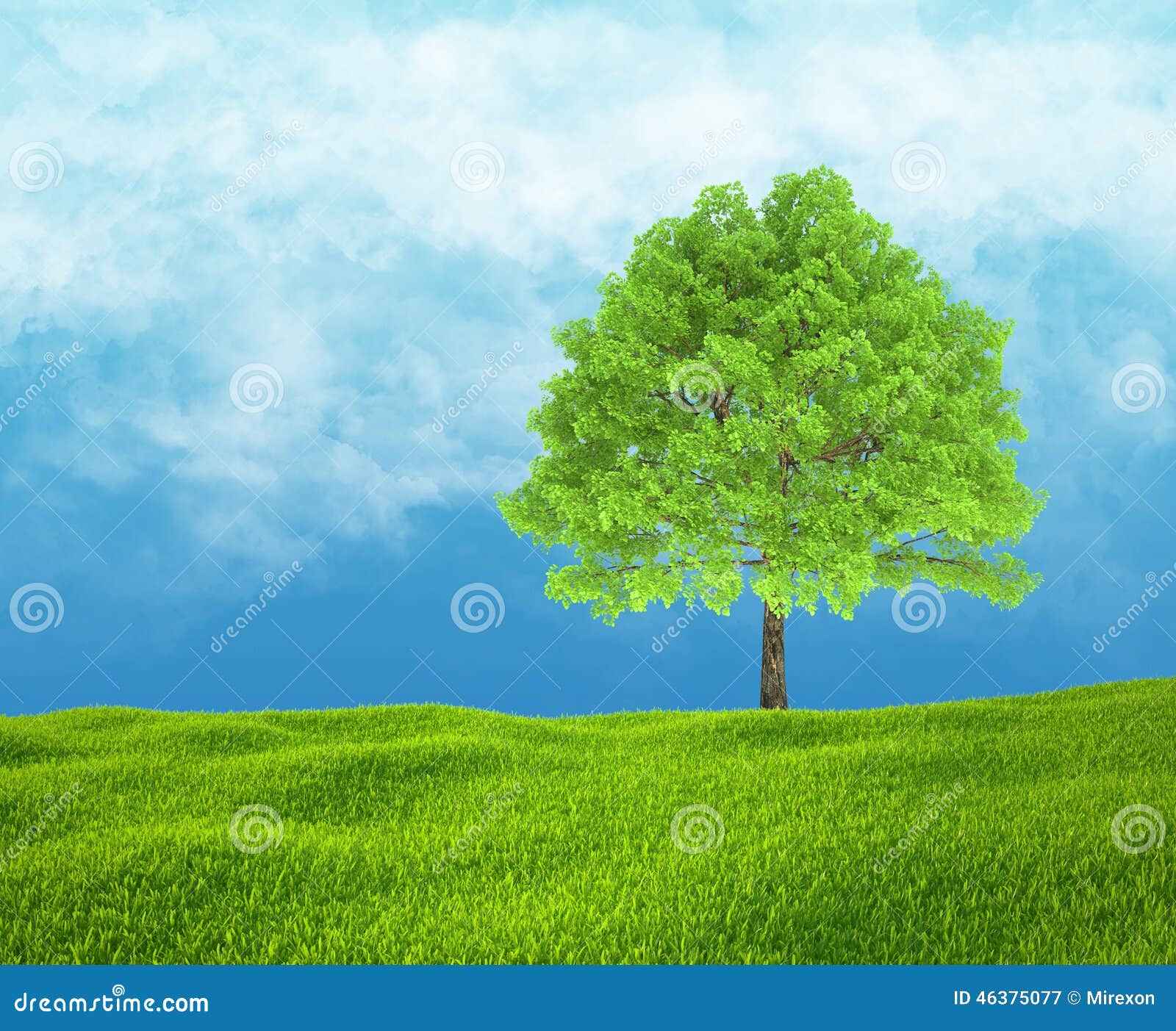 Field of Green Grass and Sky with One Tree. Stock Image - Image of ...