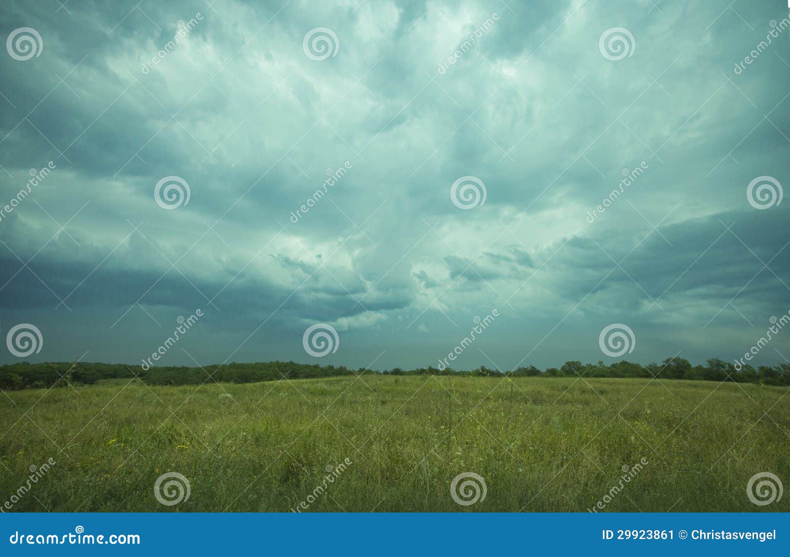 Green Grass Blue Sky stock image. Image of rural, turquoise - 29923861