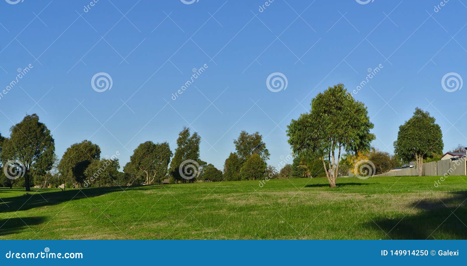 Field of green lush grass stock photo. Image of sunshine - 149914250