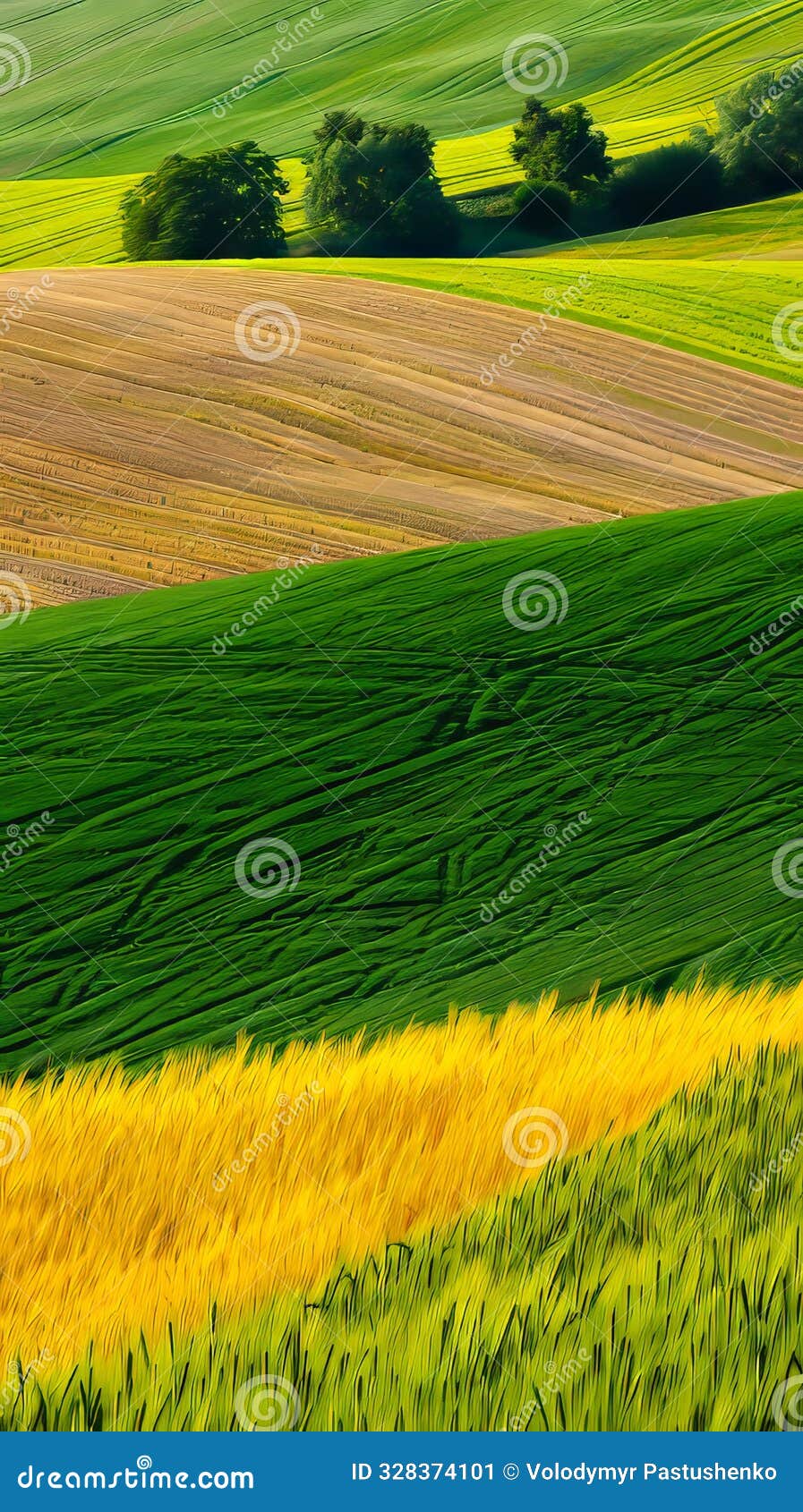 A Field of Green and Yellow Grass with Trees in the Distance Stock ...