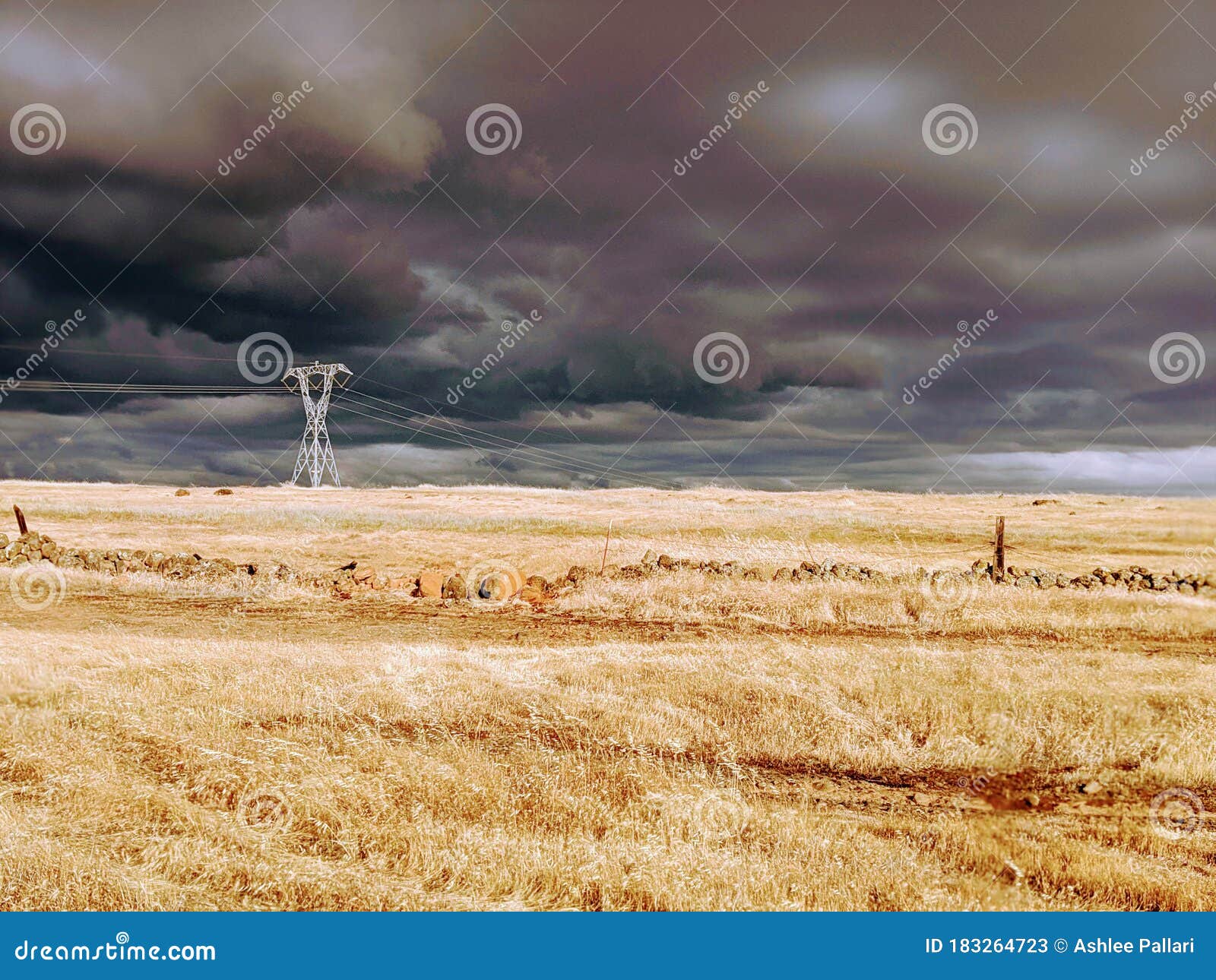 Field of grey stock image. Image of storm, grey, cloudscape - 183264723