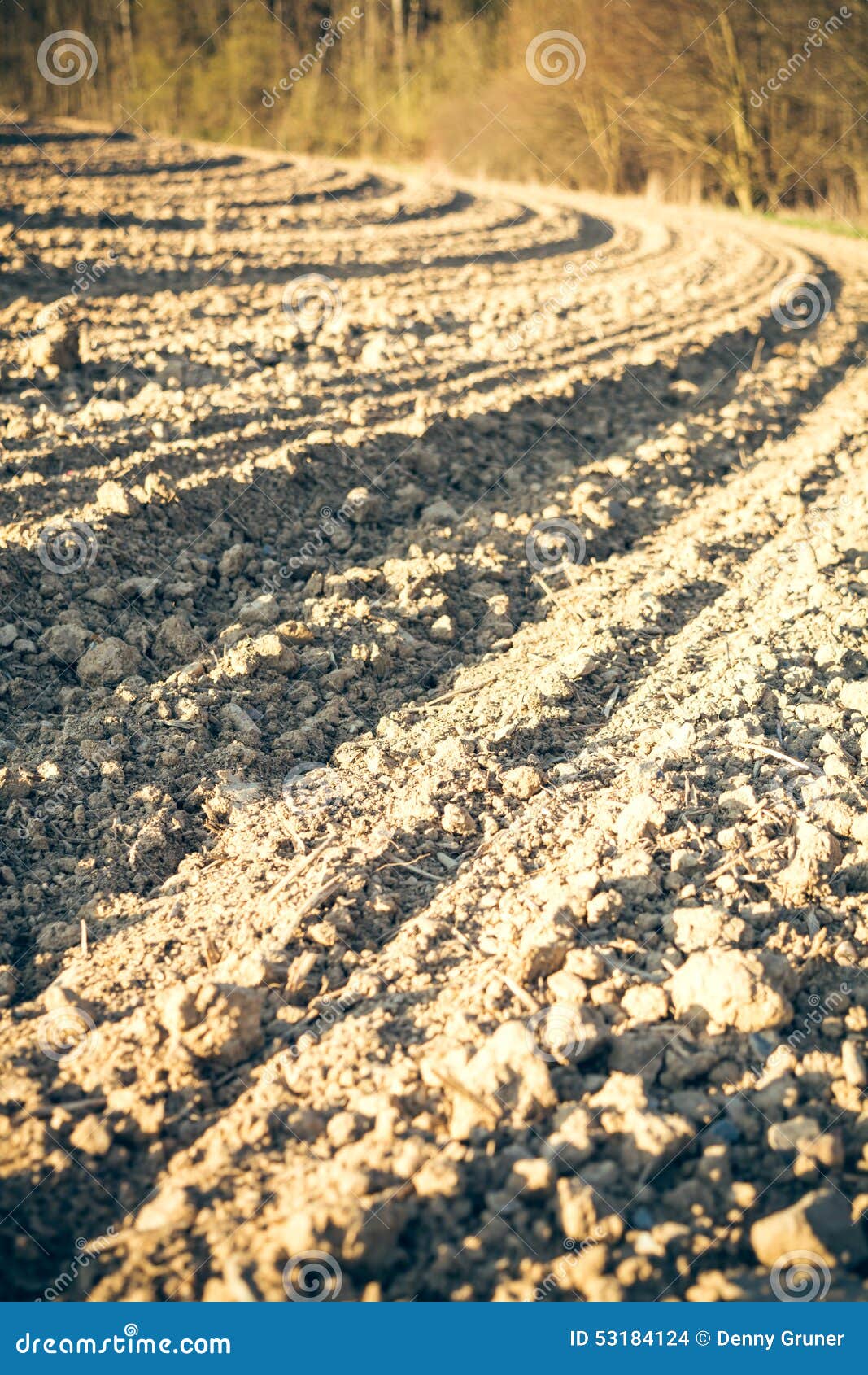 Field with grooves stock photo. Image of ground, landscape - 53184124