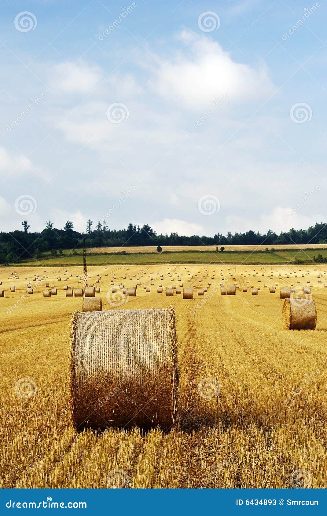 Field after harvest stock image. Image of grain, countryside - 6434893