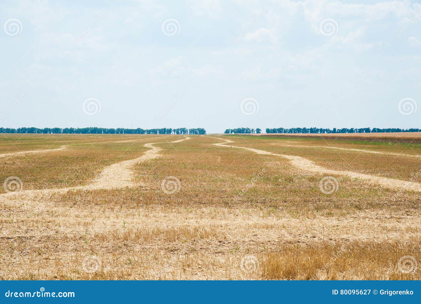 Field after harvest stock image. Image of landscape, nature - 80095627