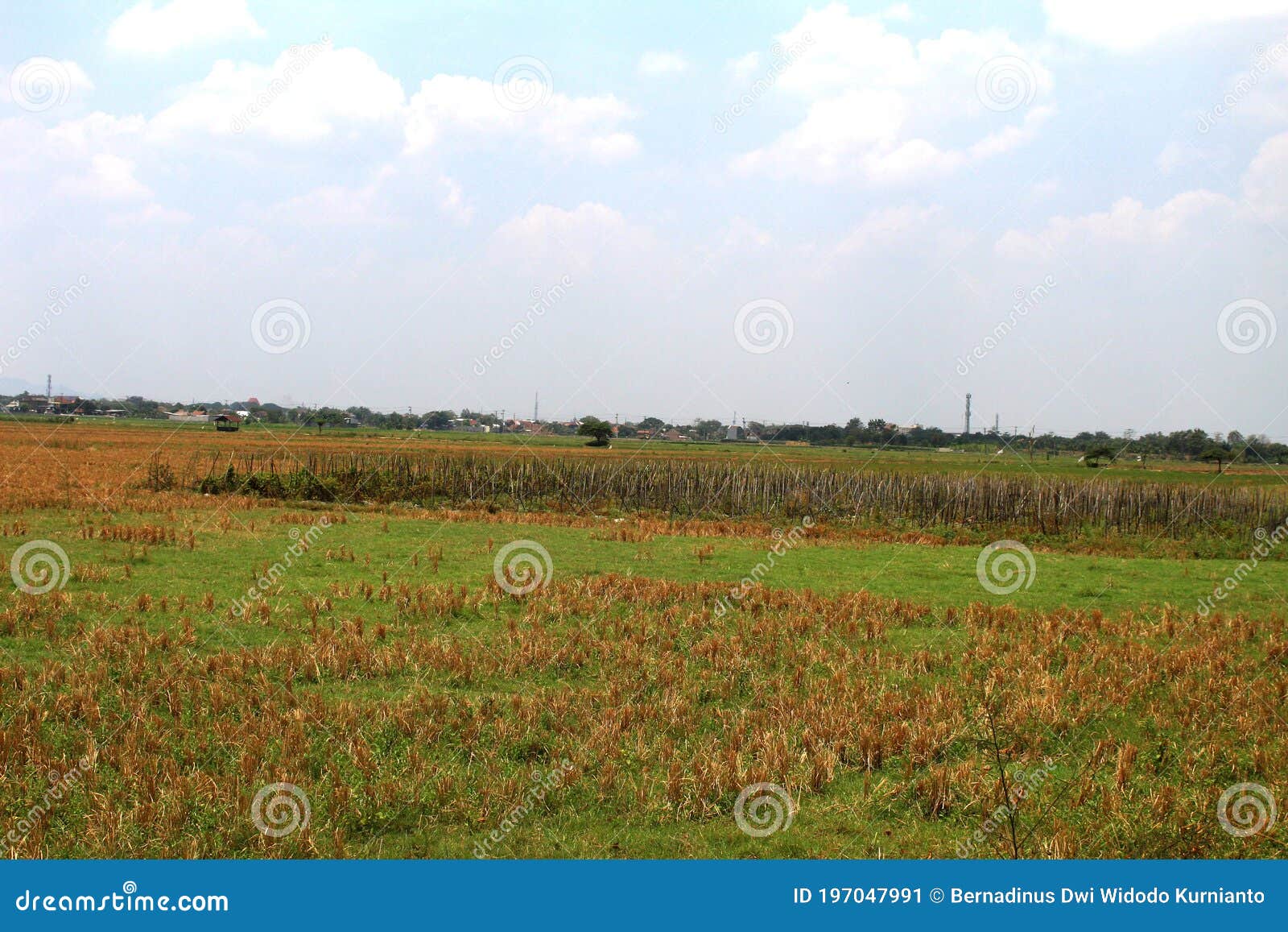 Vast arid fields stock image. Image of natural, landscape - 197047991