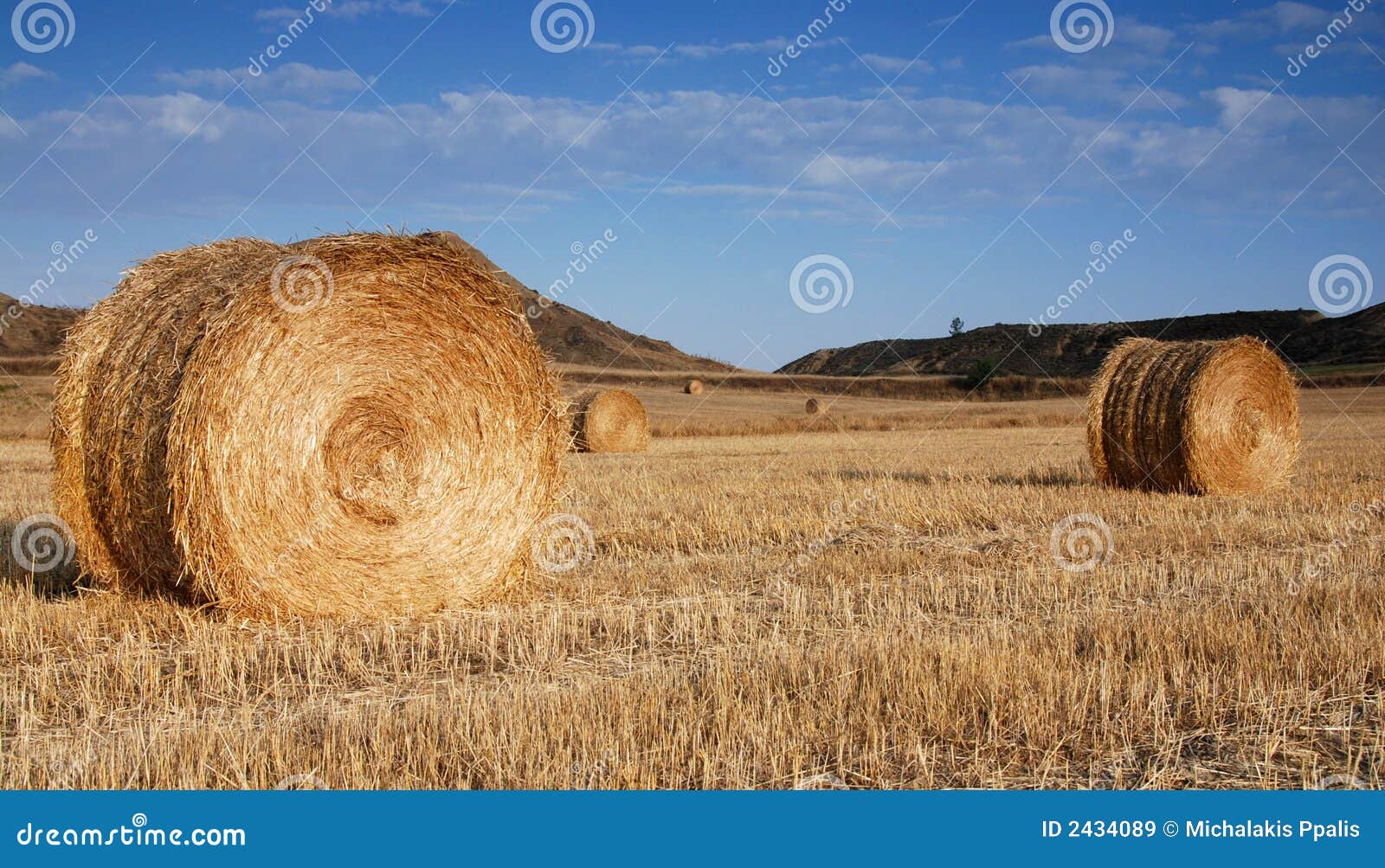 Field of hay bales stock image. Image of cultivate, rural - 2434089