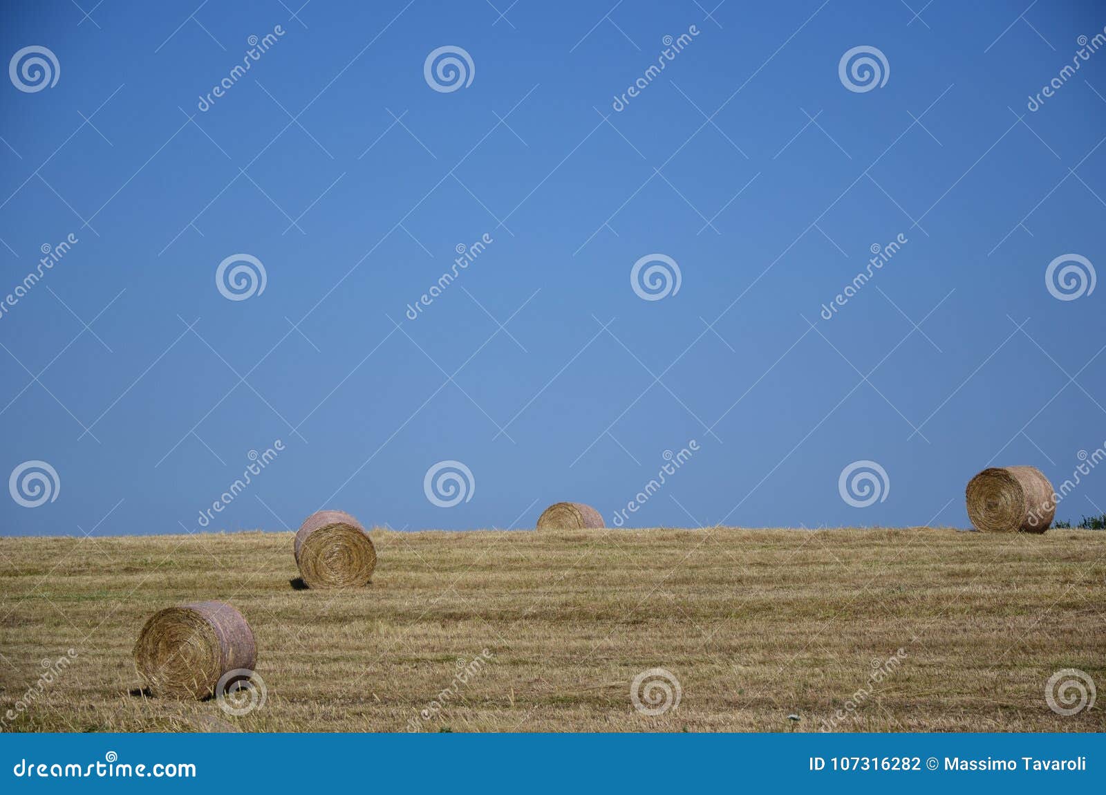 Field with hay bales stock photo. Image of shadow, blue - 107316282