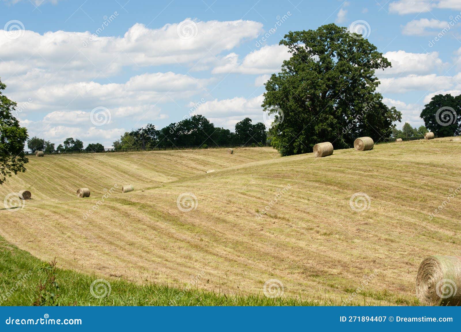Field with Hay Bales in the Summer Time Stock Image - Image of ...