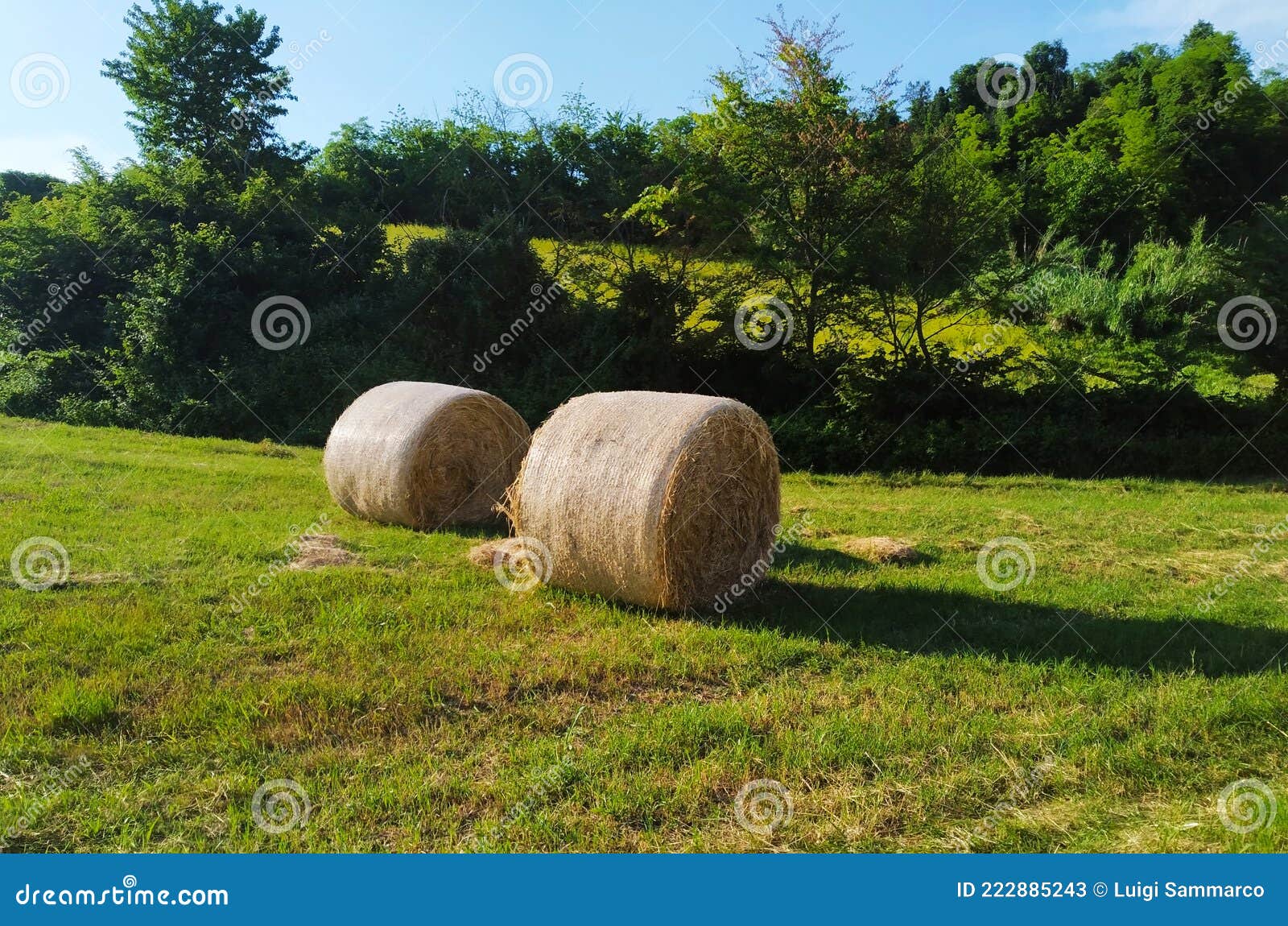 Field with Hay Bales To Take Away Stock Image - Image of bales, away ...