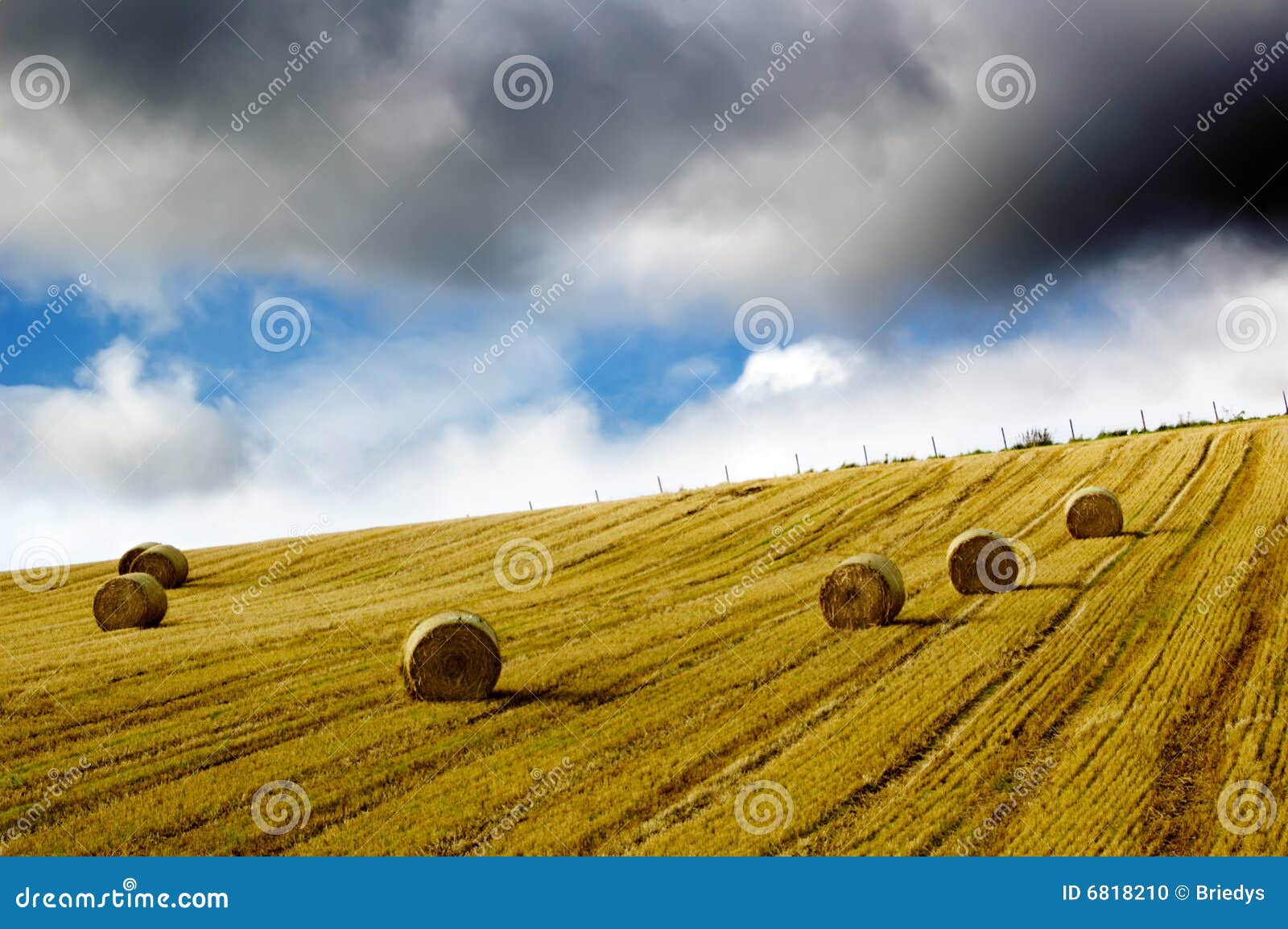 Field of Hay Bales Under Dark Rainy Sky Stock Photo - Image of ...