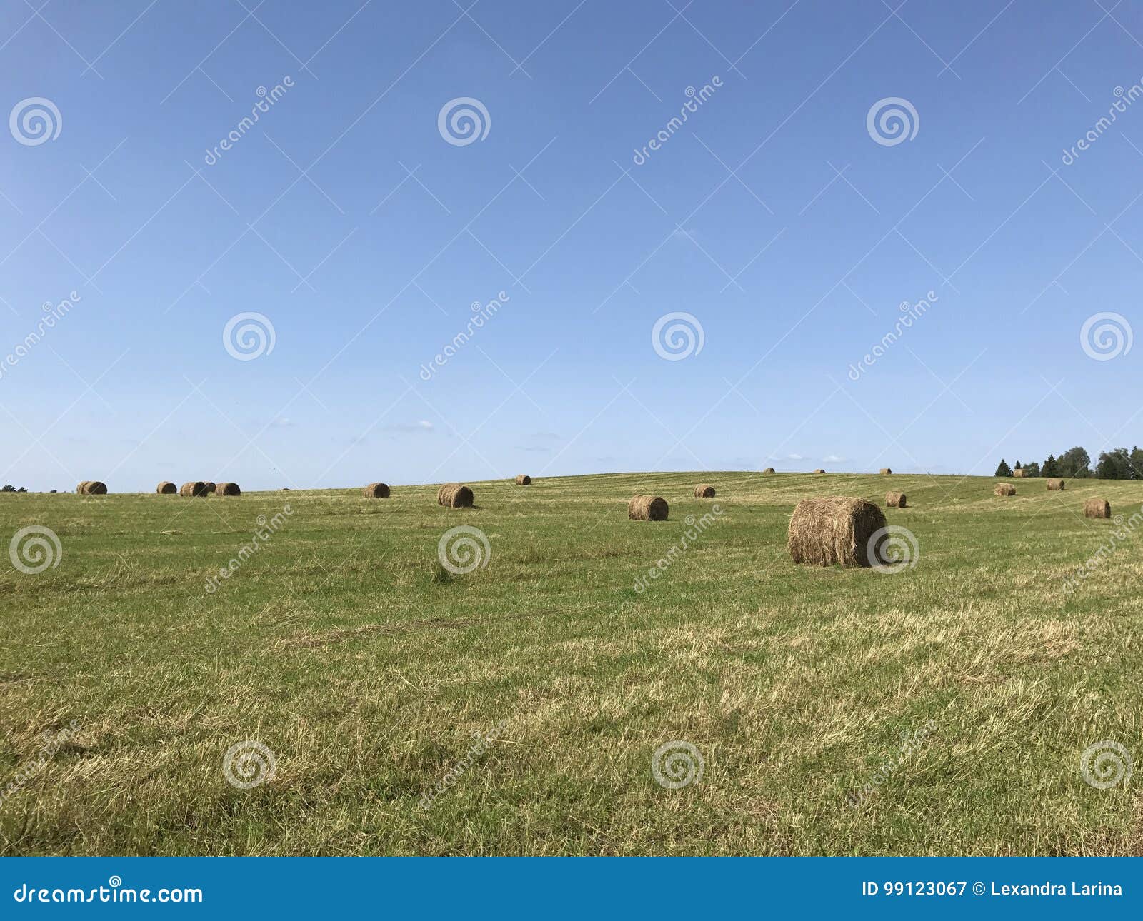 Field with hay stock image. Image of large, farming, digital - 99123067