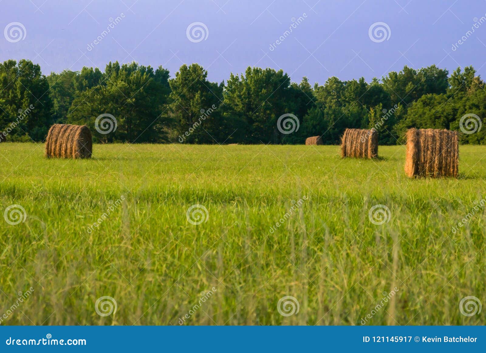 Field of Hay stock image. Image of hayfield, round, field - 121145917