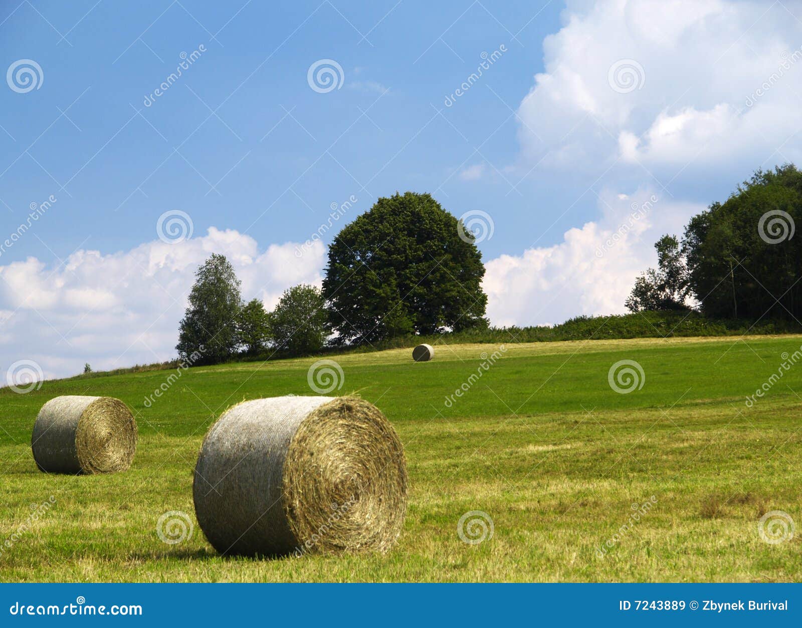 Field with haybales stock image. Image of blue, scenics - 7243889