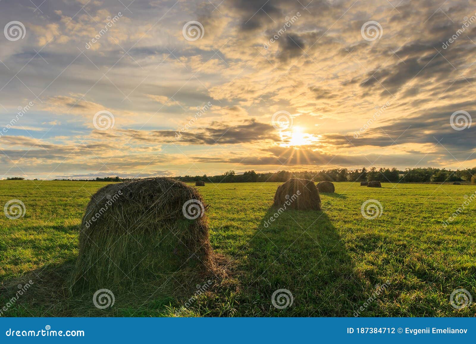 Field with Haystacks at Sunset in Early Autumn Stock Photo - Image of ...