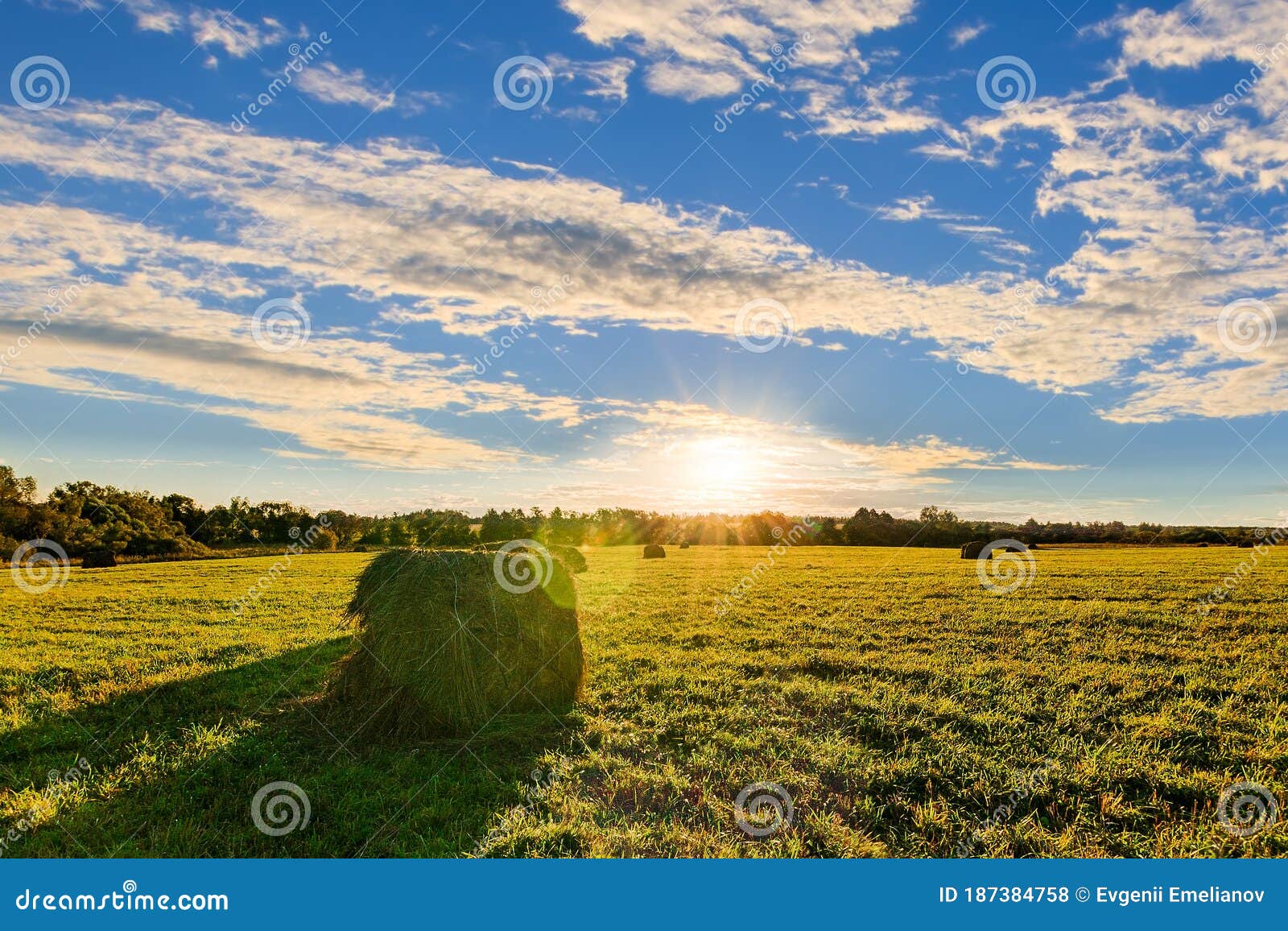 Field with Haystacks at Sunset in Early Autumn Stock Photo - Image of ...