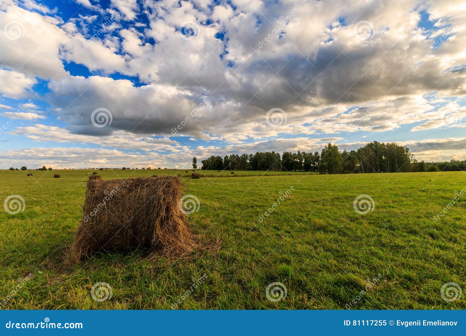 Field with Haystacks at Sunset in Early Autumn Stock Image - Image of ...