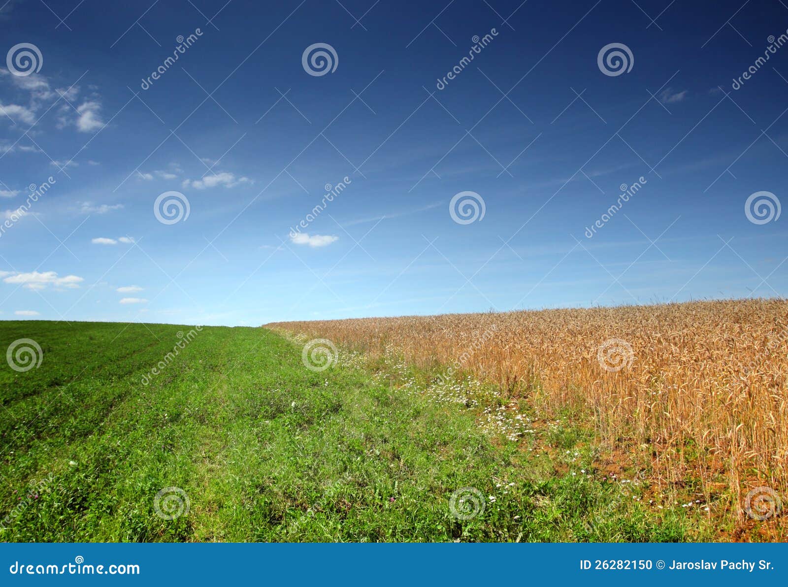 Field with Hewed Corn and Clouds Stock Photo - Image of europe ...