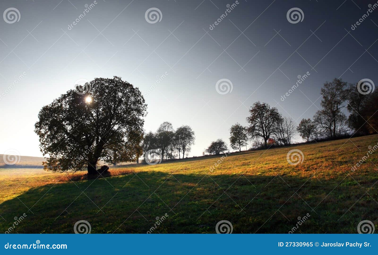 Field with Hewed Corn and Clouds Stock Image - Image of bread, meadow ...