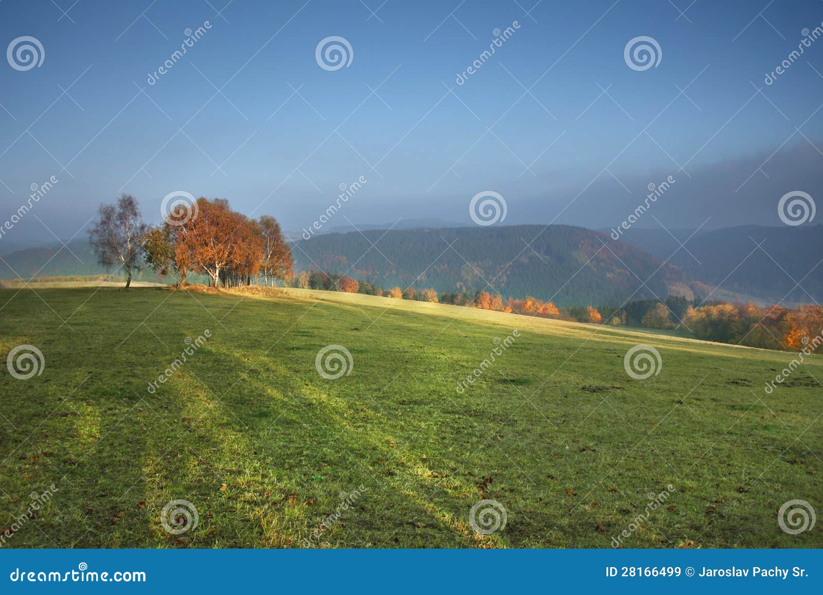 Field with Hewed Corn and Clouds Stock Image - Image of farming ...