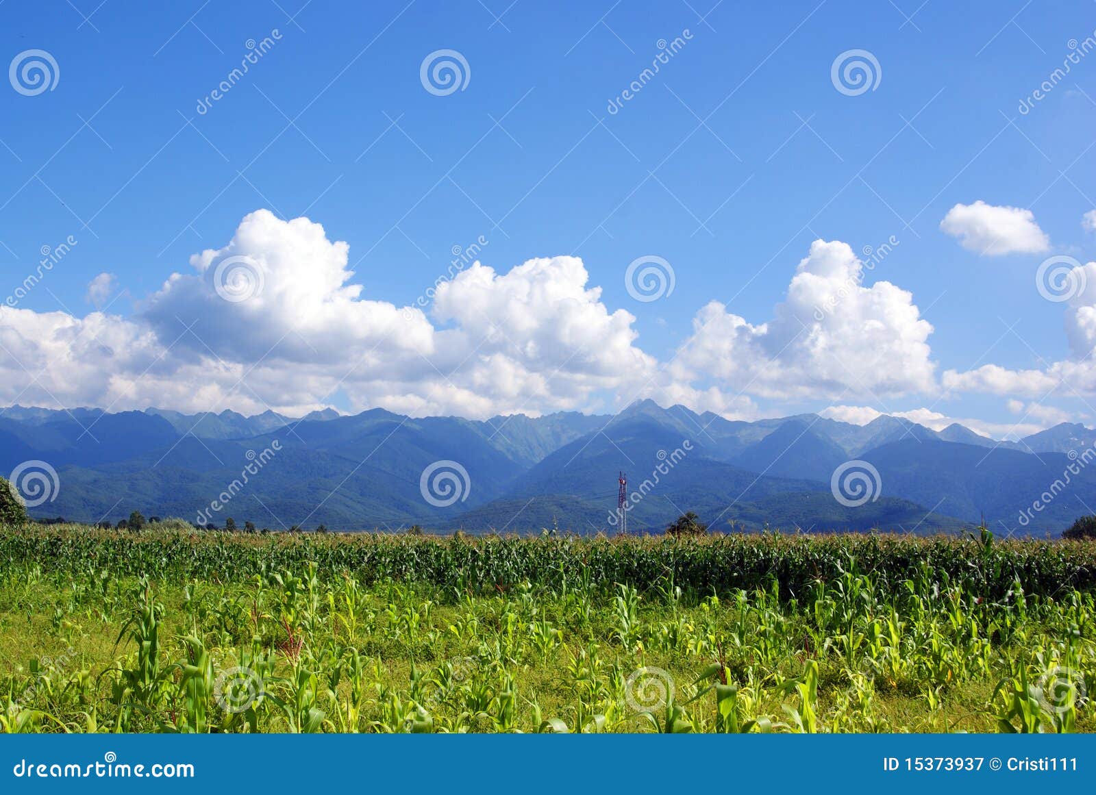 Field, Hills Mountains, Clouds and Blue Sky Stock Image - Image of ...