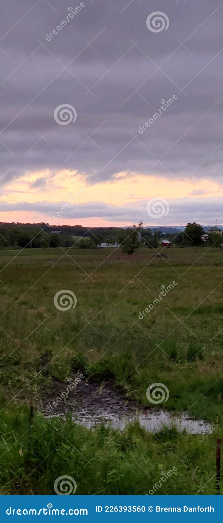 Field of hope stock photo. Image of nature, meadow, dawn - 226393560