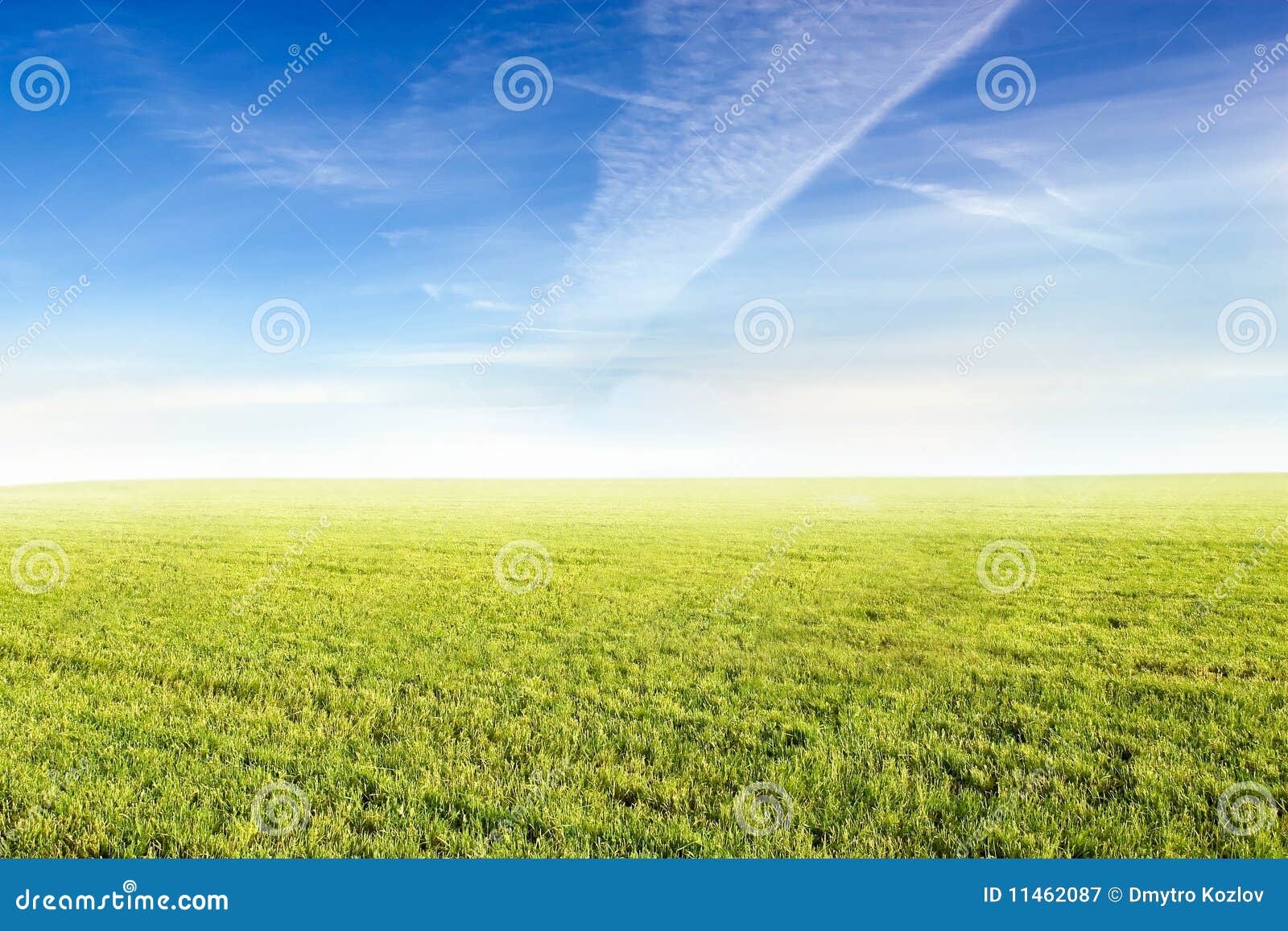 Field horizon stock image. Image of front, foliage, environment - 11462087
