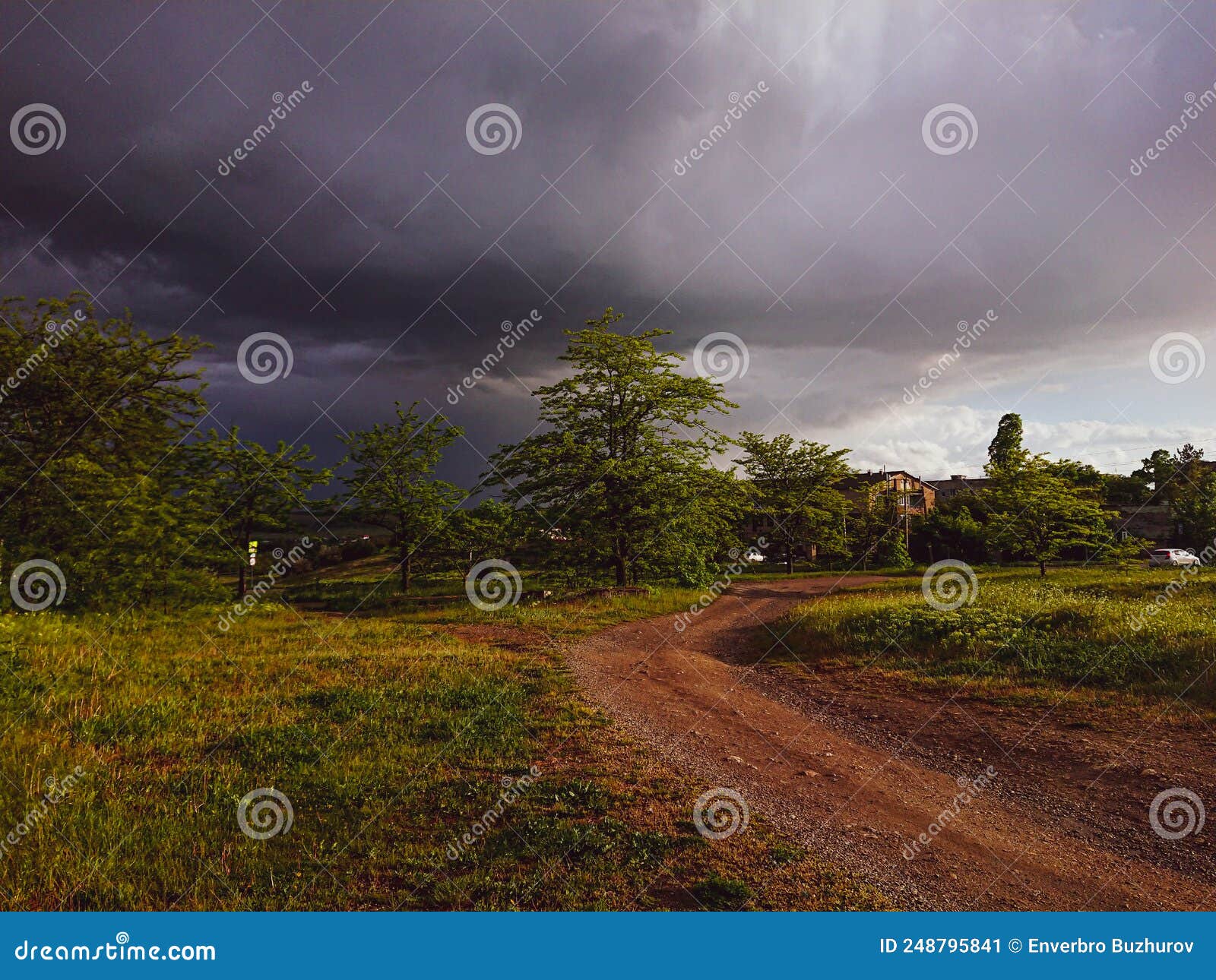 Field Horizon Tree Forest stock image. Image of nature - 248795841