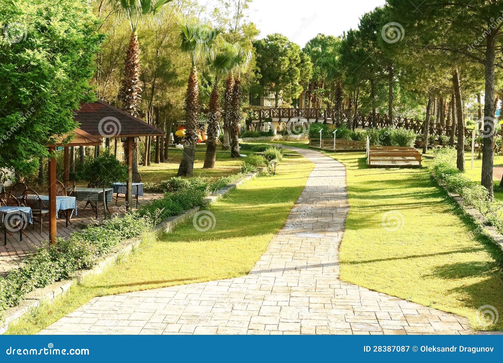 Field in hotel. stock image. Image of garden, landscape - 28387087