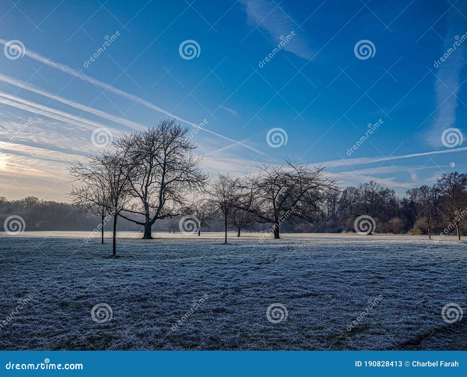 Field of ice stock image. Image of landscape, dusk, branch - 190828413