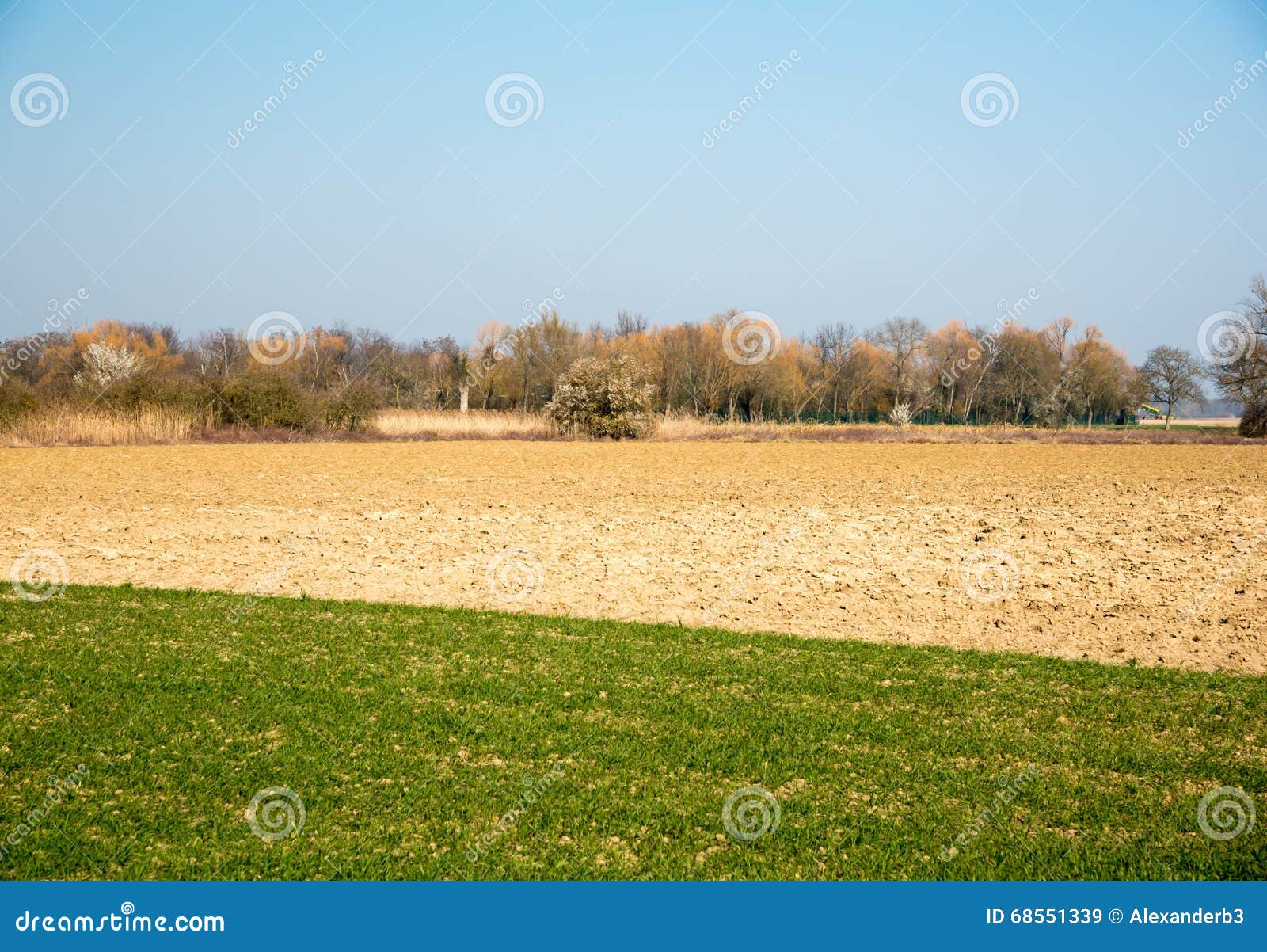Field im early spring stock image. Image of land, farmland - 68551339