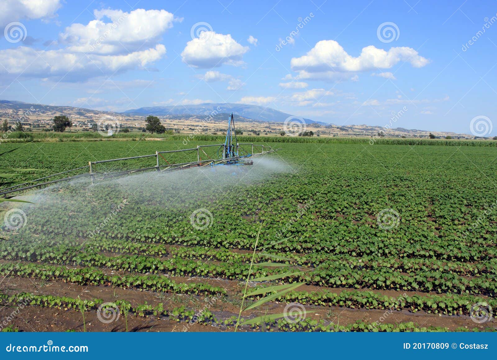 Field irrigation stock image. Image of countryside, business - 20170809