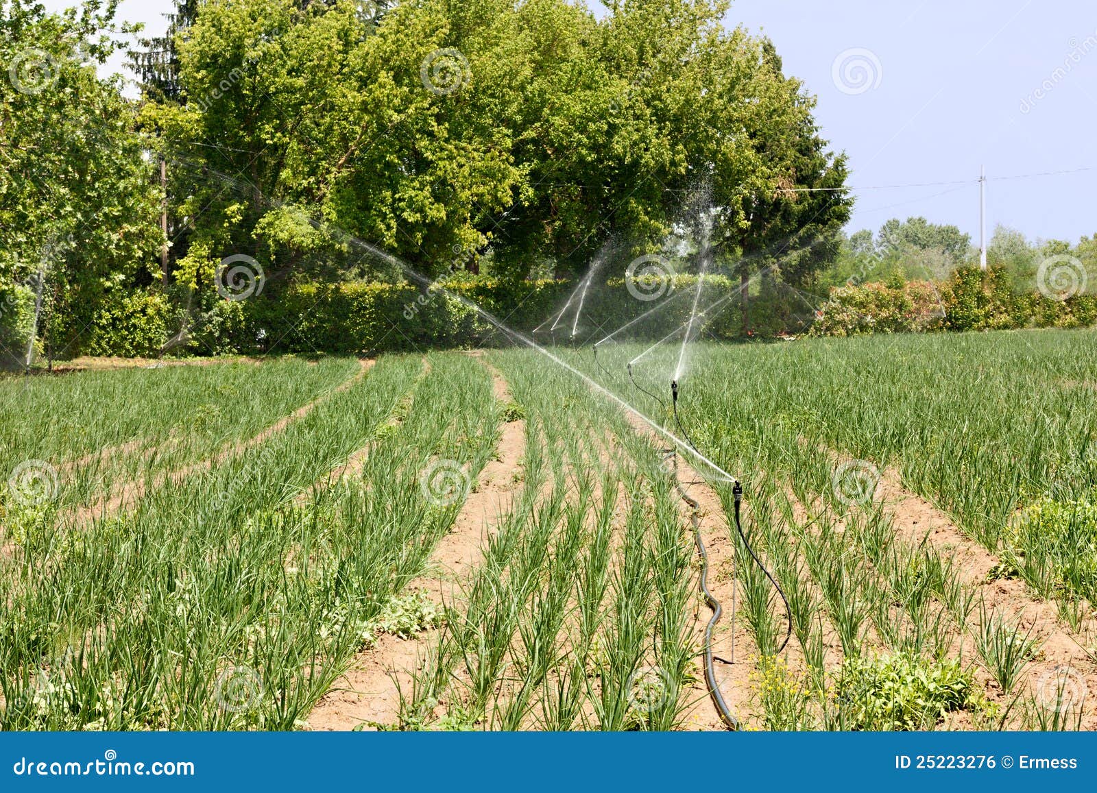 Field irrigation stock photo. Image of farmland, irrigator - 25223276