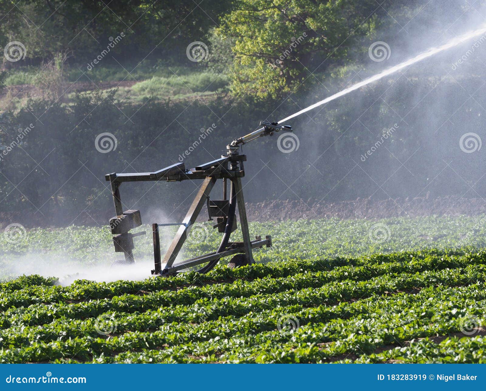 Field Irrigation stock image. Image of land, agricultural - 183283919