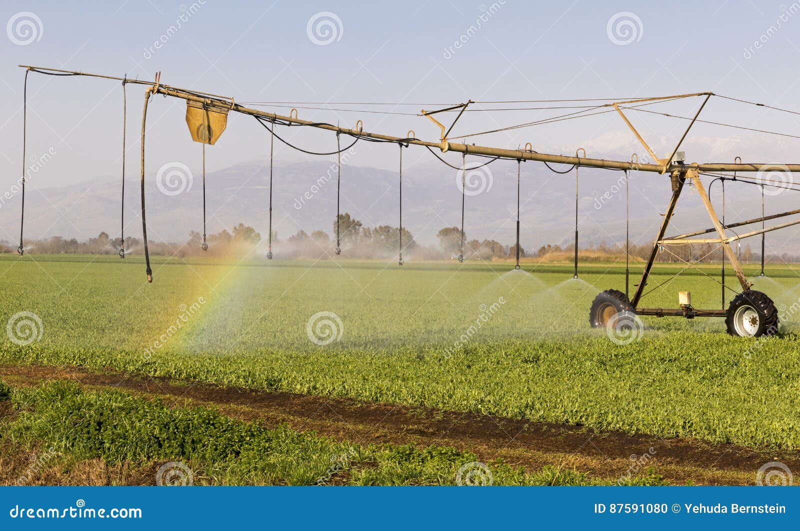 Field Irrigation stock photo. Image of crops, israel - 87591080