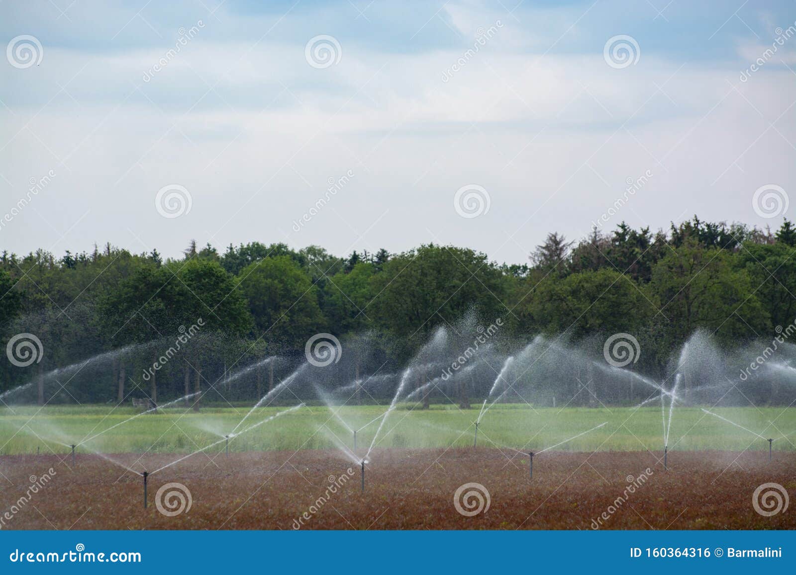 Field Irrigation System with Sprinklers in Work Stock Photo - Image of ...