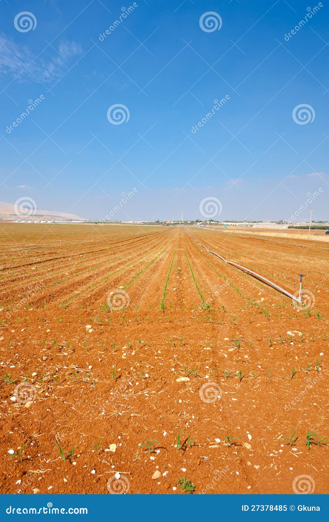 Field in Israel stock image. Image of agronomy, agriculture - 27378485