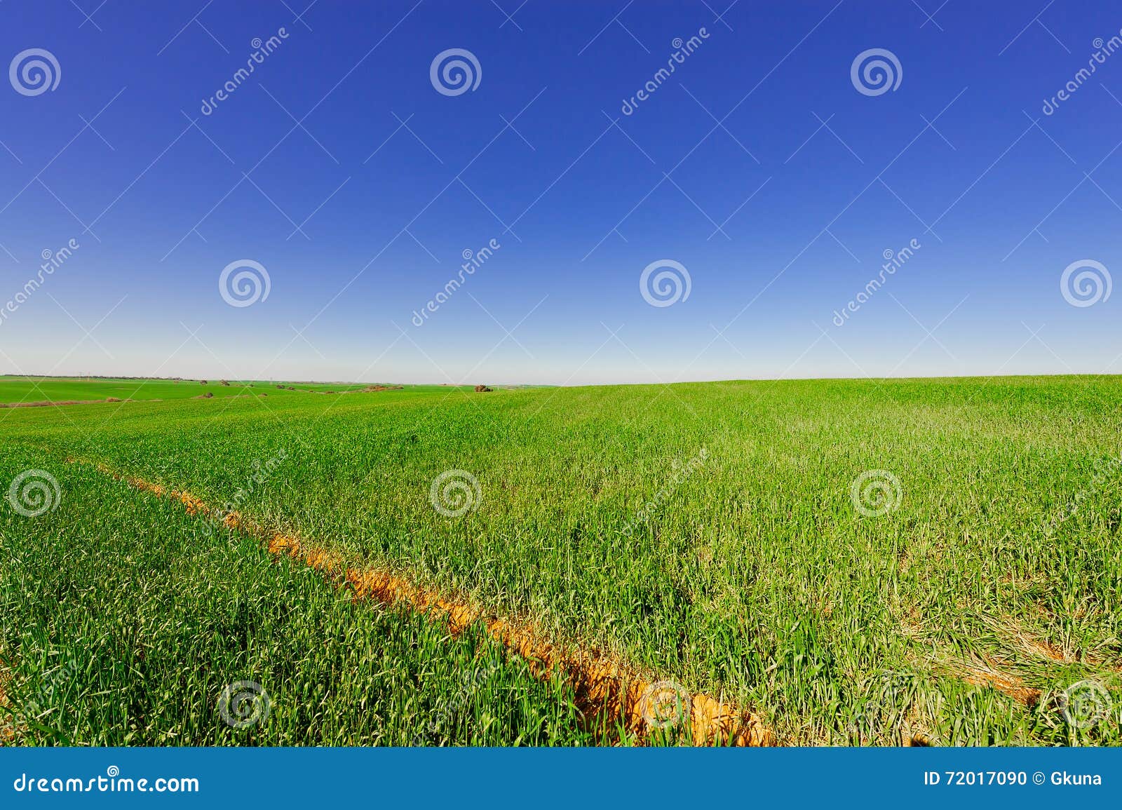Field in Israel stock photo. Image of israel, land, lawn - 72017090