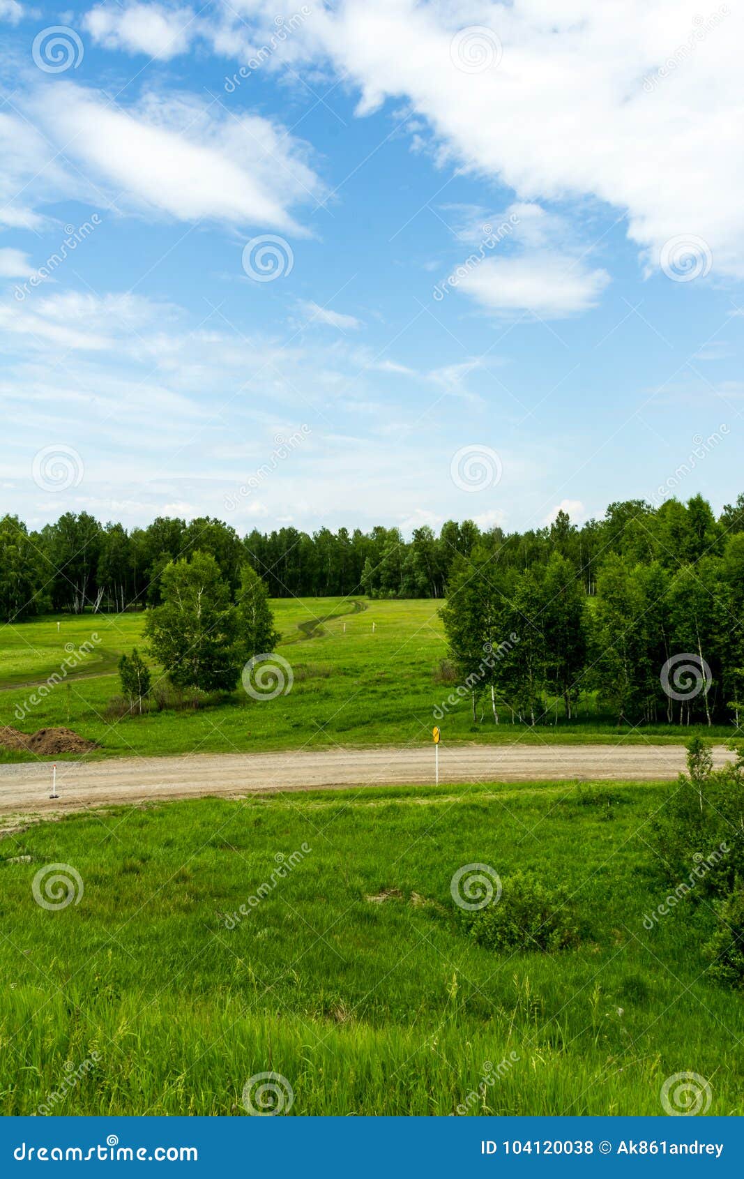 Field in June stock photo. Image of nature, flowers - 104120038