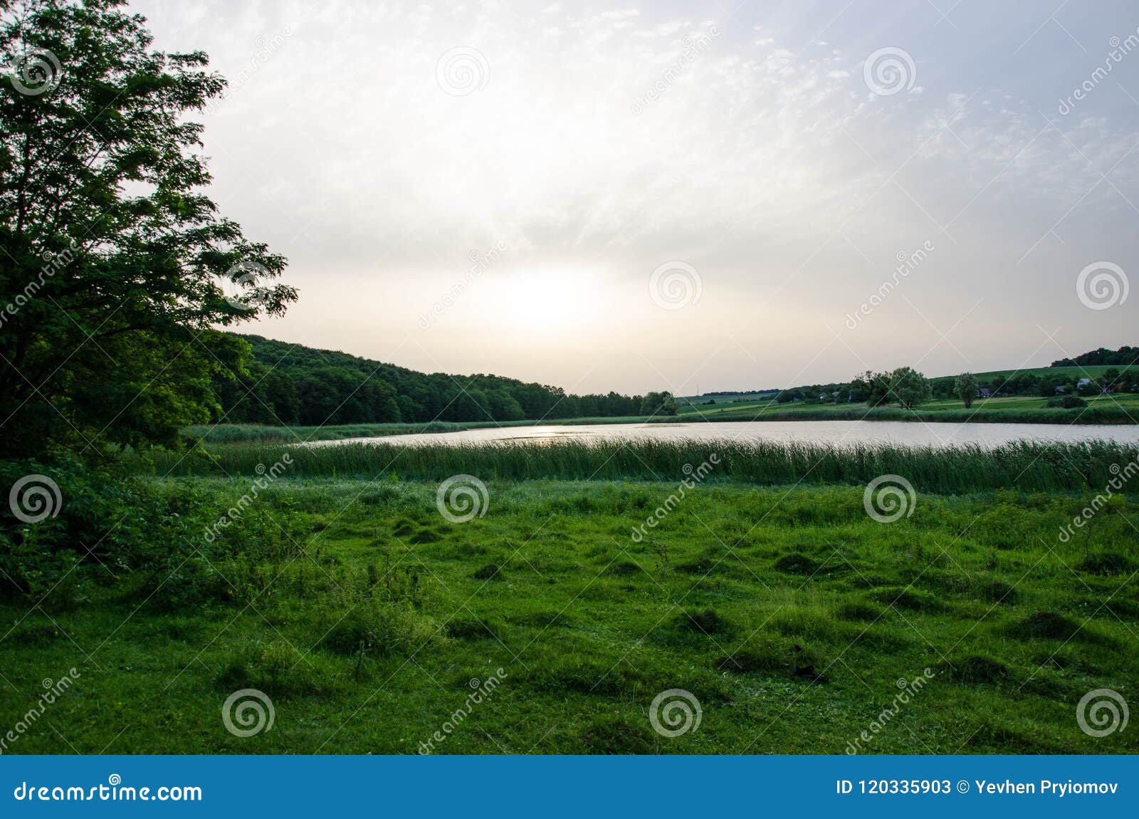 Field with a Lake and a Forest Stock Image - Image of environment ...